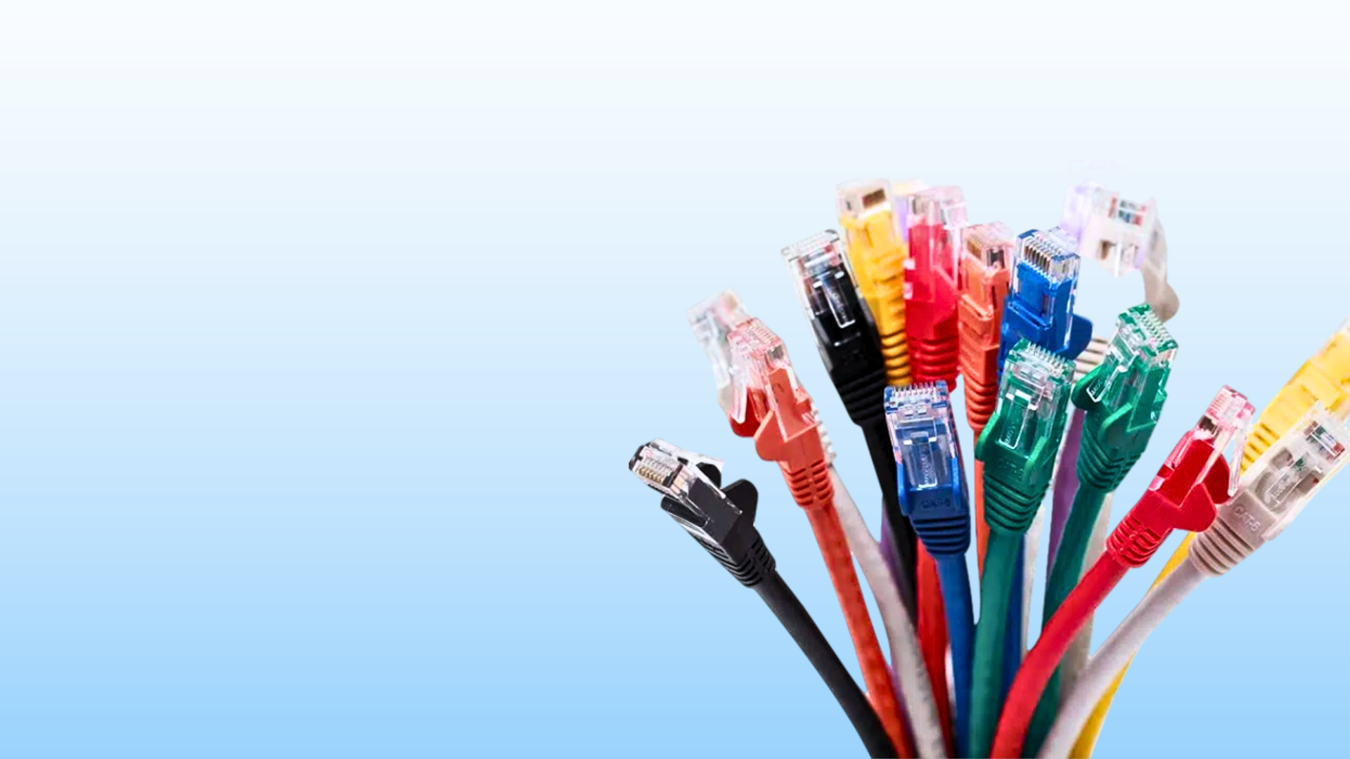 My Custom Shop Page - CSC Cable Technology Co., Ltd